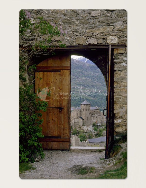 A View Half-Cutted - Simone Amaduzzi Photography - Nature & Wildlife ...