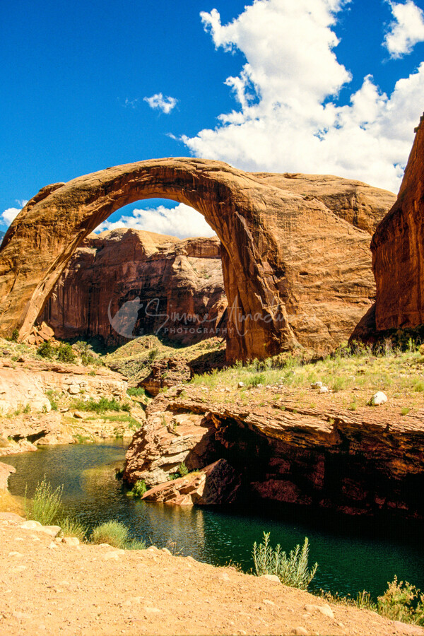 Vault Over The River - Simone Amaduzzi Photography - Nature & Wildlife ...